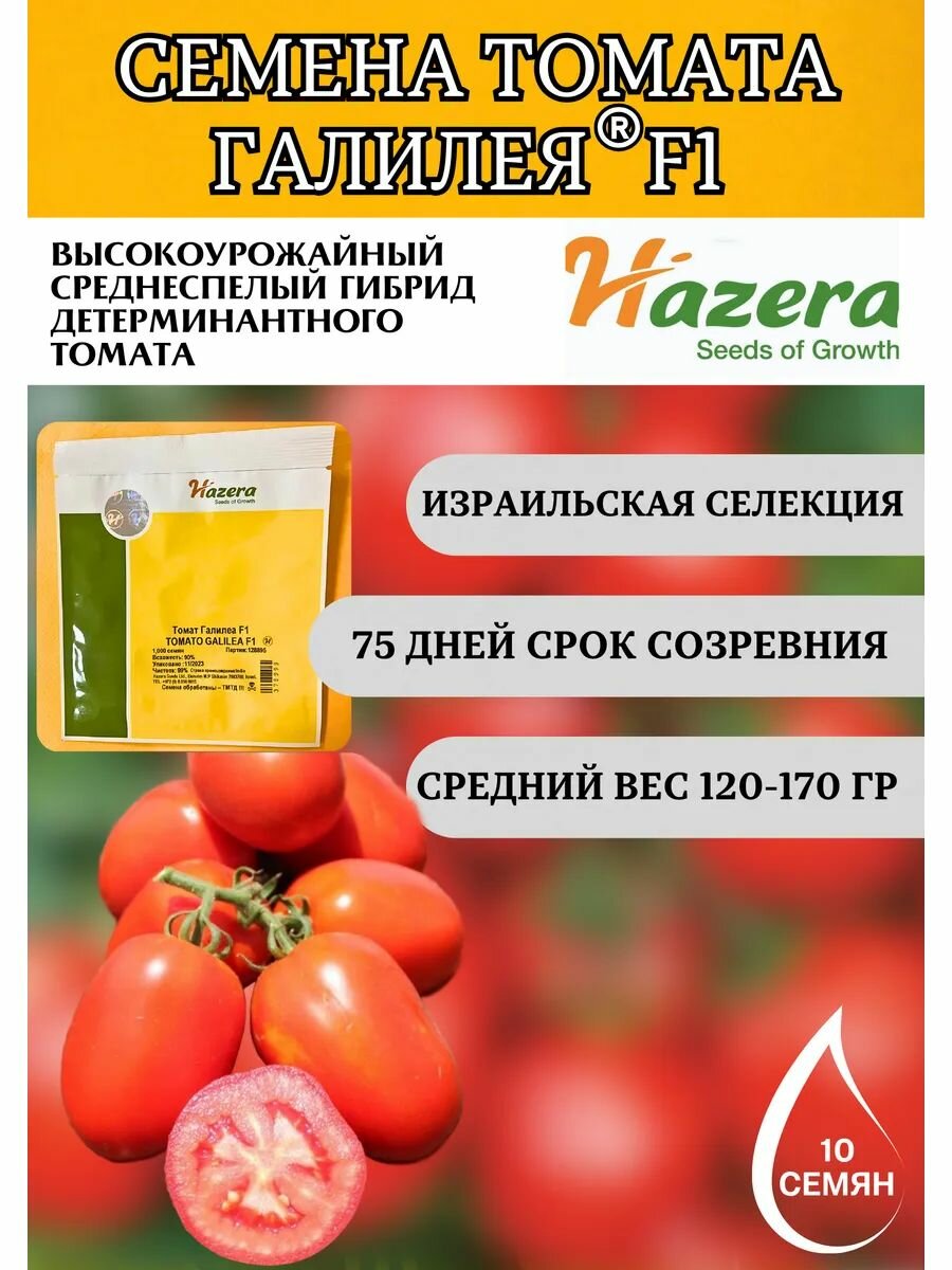 Семена томата Галилея F1 Hazera 10 штук профессиональные семена