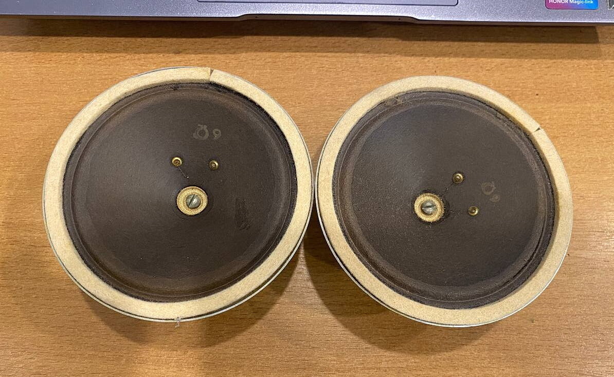 Динамики EGB LP554-6 (пара)