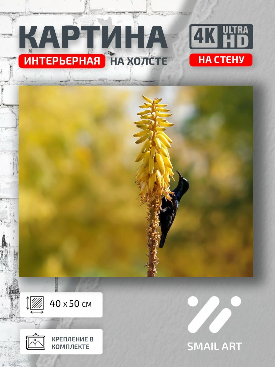 Картина на холсте интерьерная 40 на 50 на стену Птица Landscape для кабинета пейзаж декор