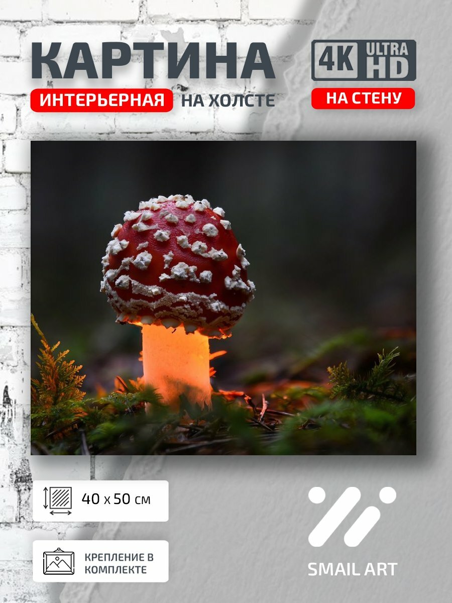 Картина на холсте интерьерная 40 на 50 на стену Мухомор Landscape для спальни пейзаж декор