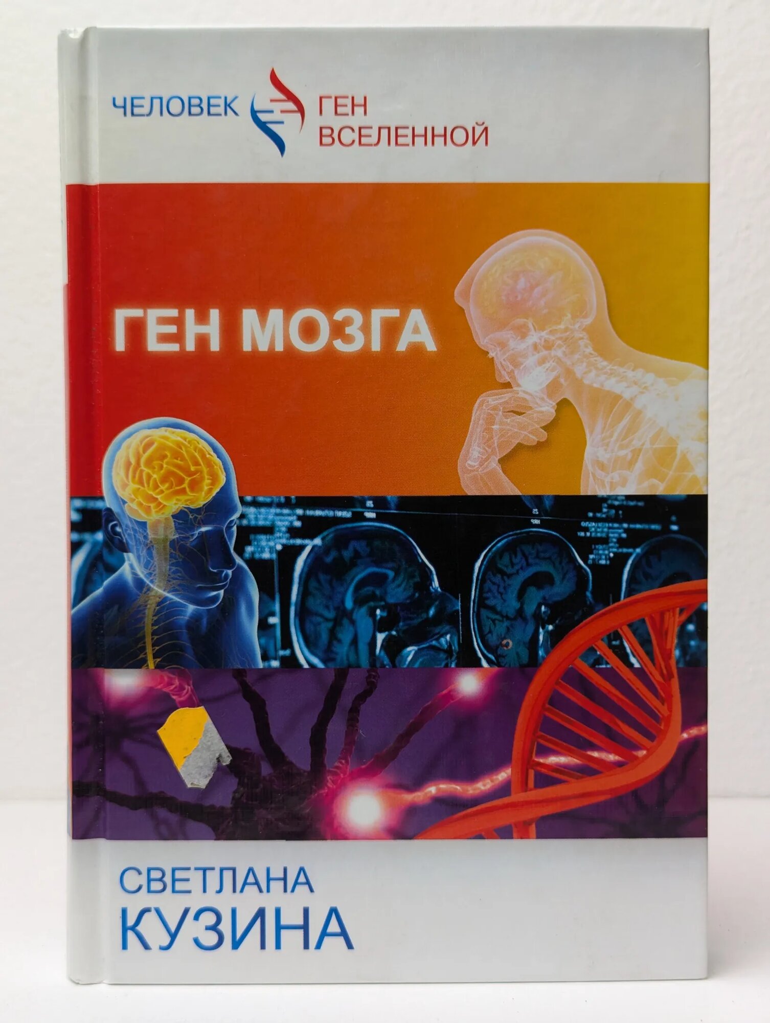 Ген мозга Кузина Светлана Валерьевна 2014