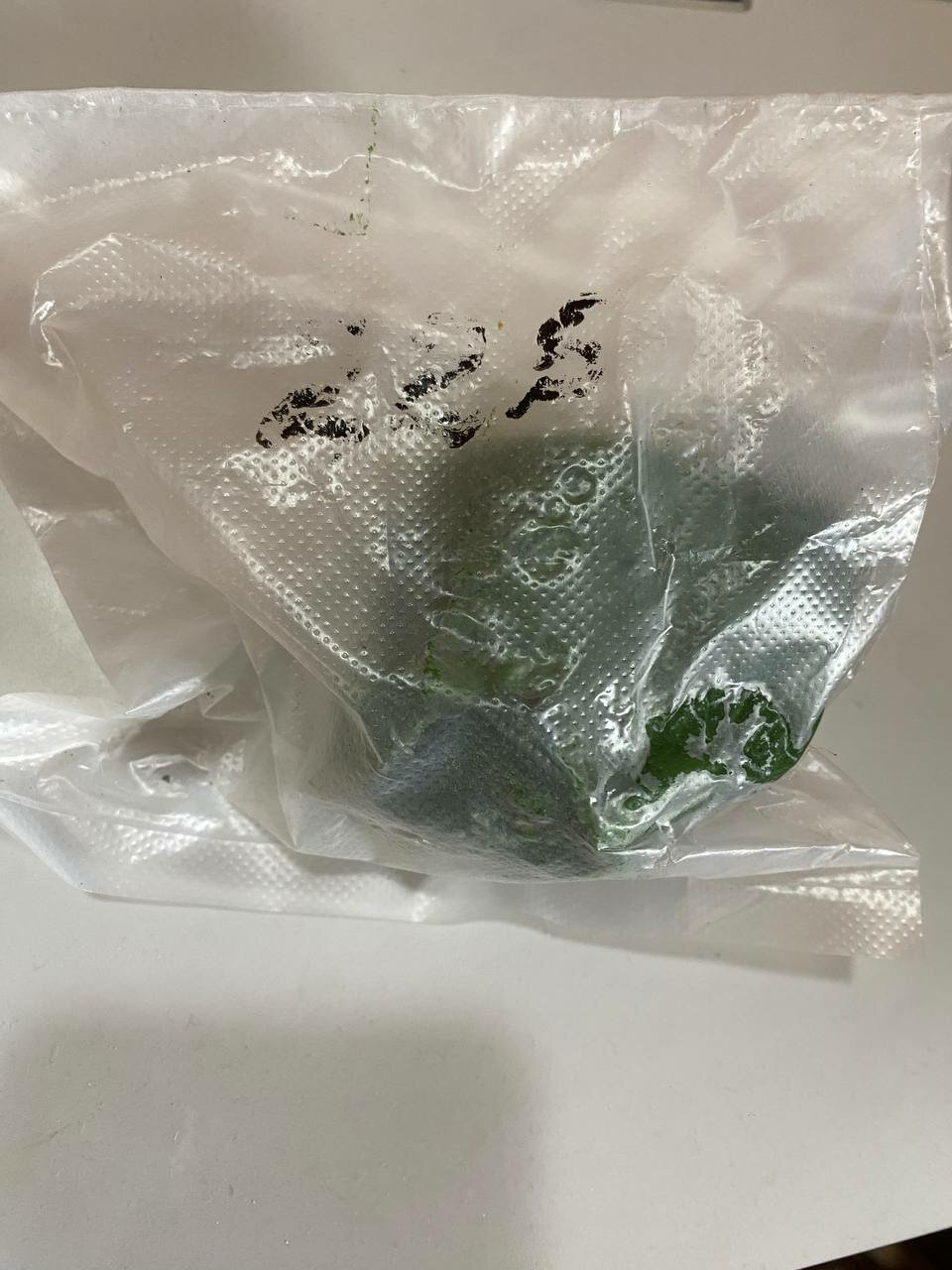 Паста ГОИ - брикет 225 грамм (высший сорт) - Россия