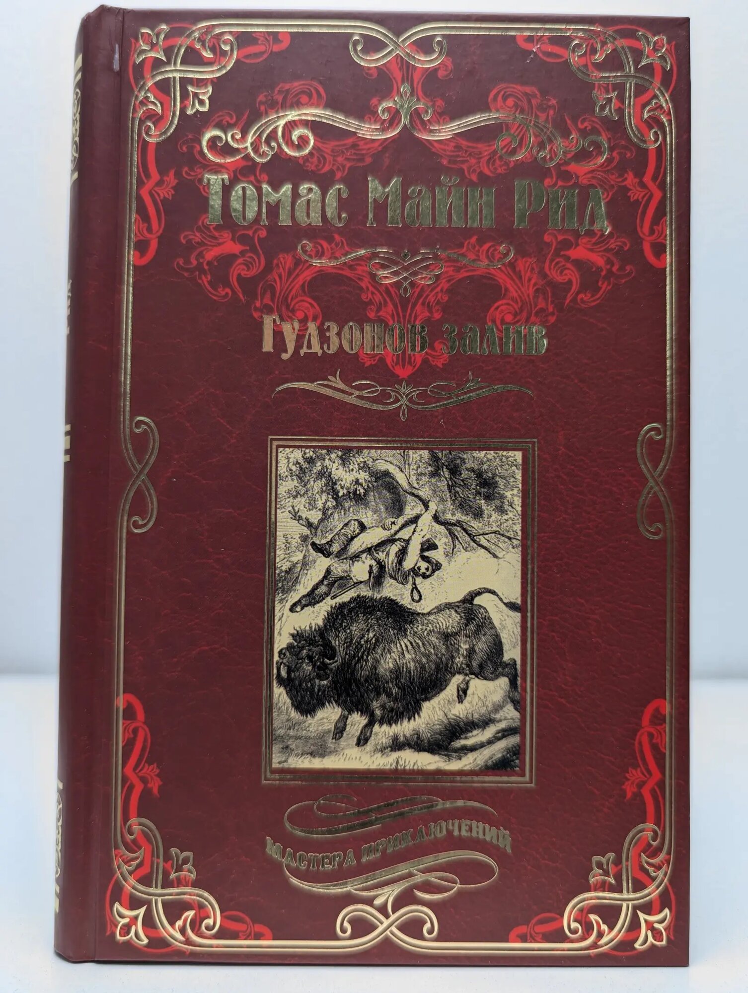 Гудзонов залив. Молодые охотники Рид Томас Майн 2017