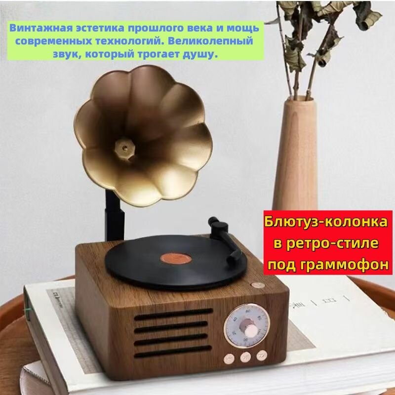 Беспроводная колонка, Беспроводная Bluetooth колонка, МаленькийFMРадио, SansuiT33, Хорошее качество звука
