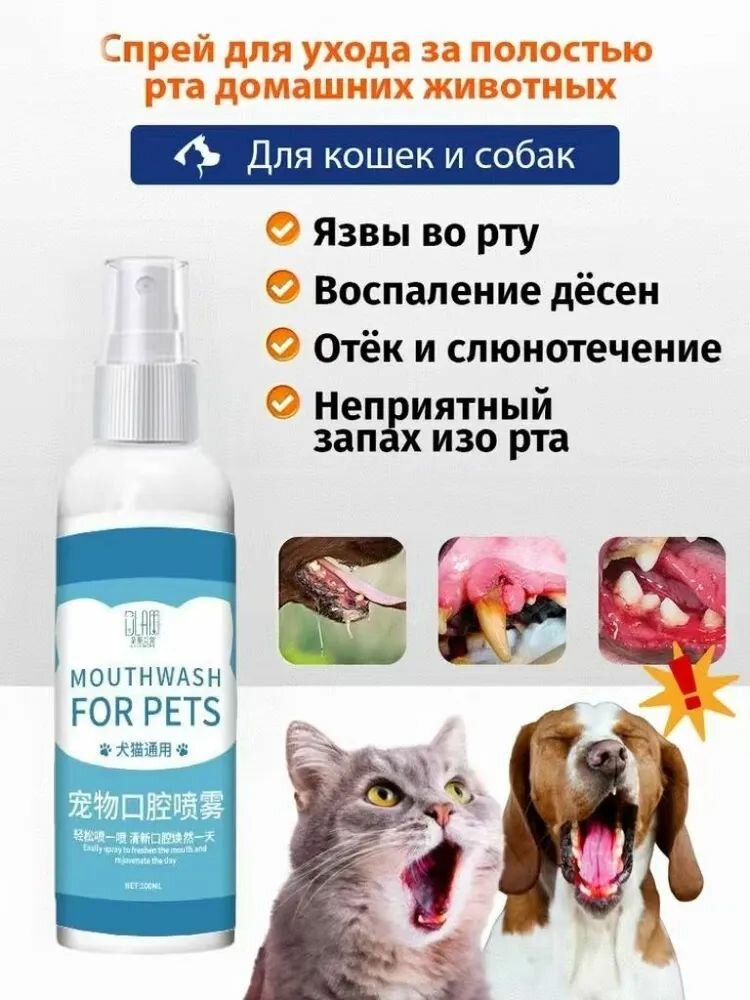 Очищающий спрей для полости рта Противогрибковый спрей от неприятного запаха изо рта,100ml, анорексии и посторонних предметов во рту у собак и кошек