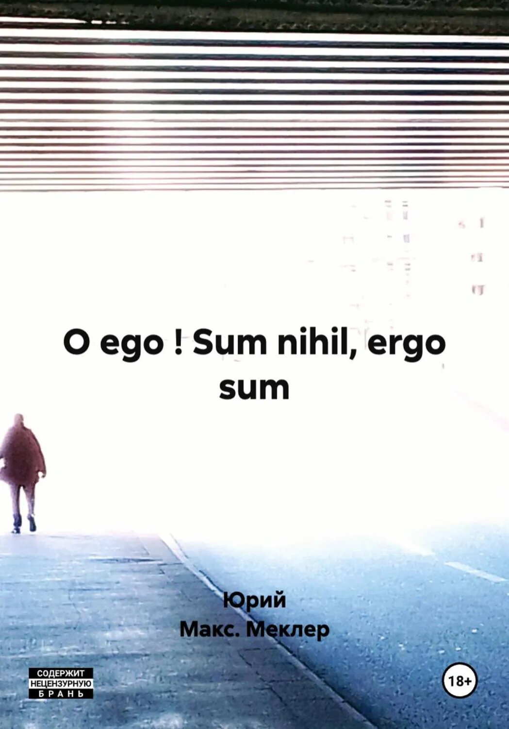 O ego ! Sum nihil, ergo sum [Цифровая книга]