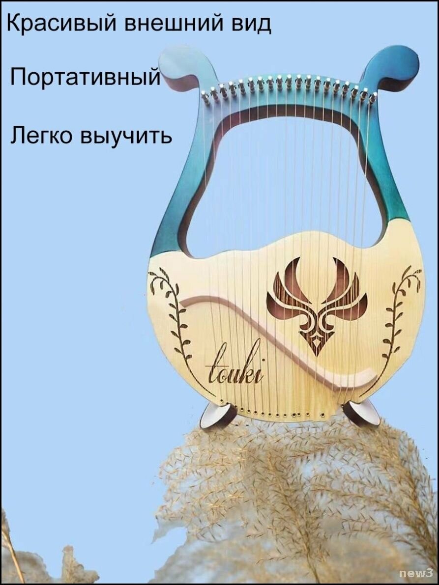Струнный инструмент — фото 1