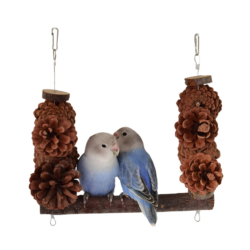 Жевательные игрушки для попугаев-попугаев с сосновыми шариками и жевательными шариками для волнистых попугайчиков-неразлучников