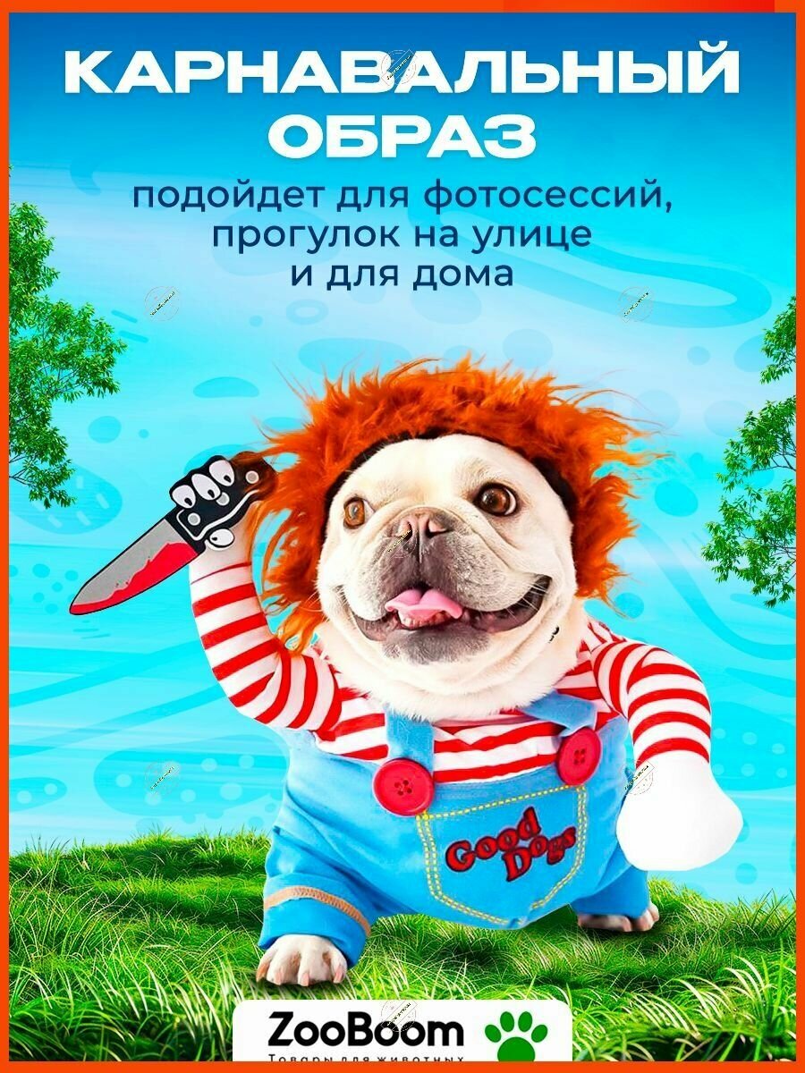 Одежда для животных — фото 1