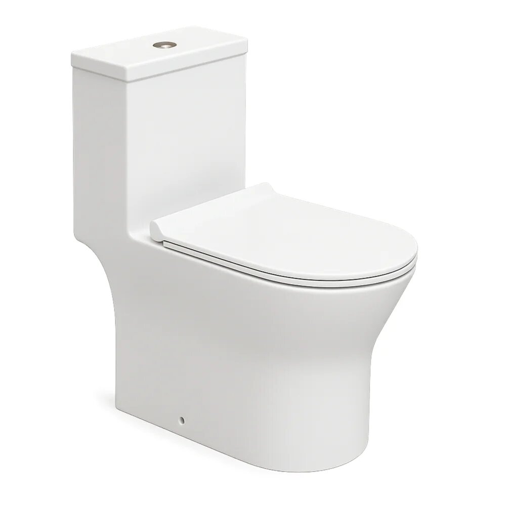 Унитаз-моноблок напольный EvaGold TR1197 с микролифтом, безободковый, фаянсовый, антивсплеск, белый, с нижним подводом овальный