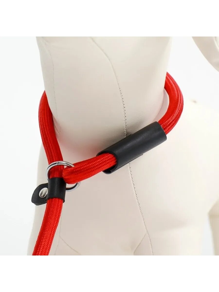 Стильная красная ринговка для собак