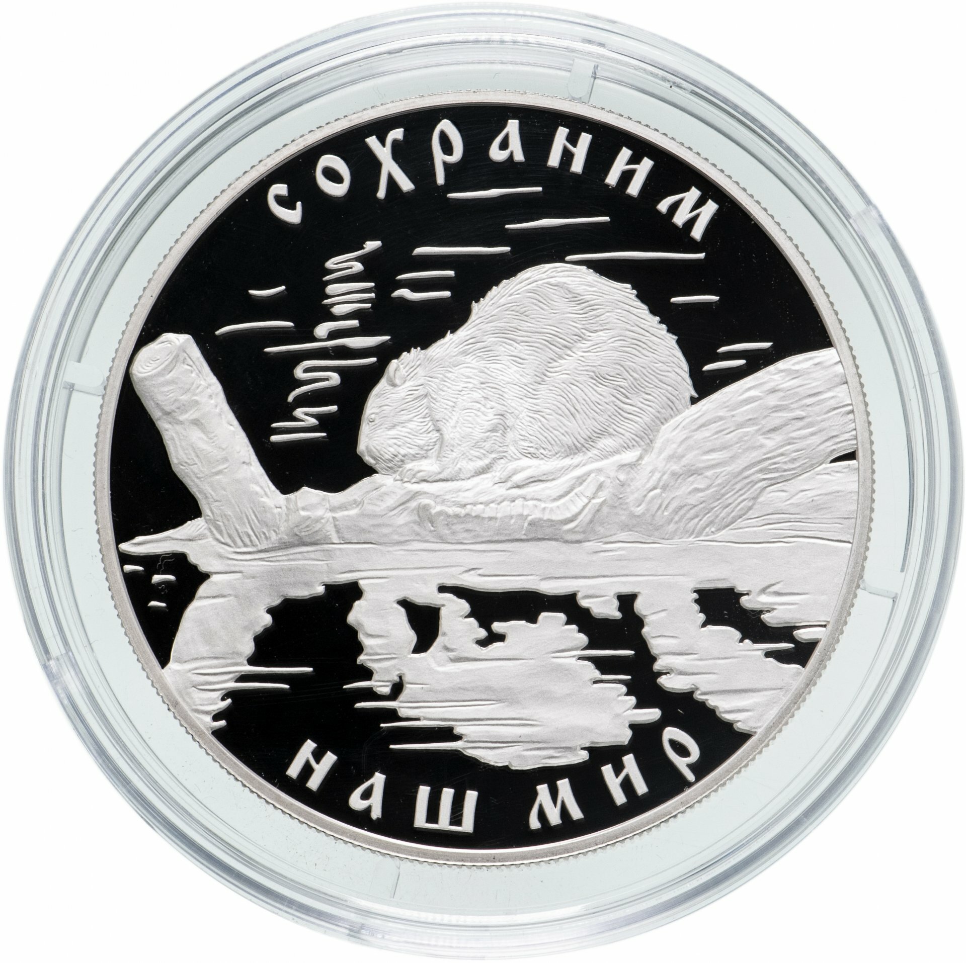 25 рублей 2008 СПМД Proof "Речной бобр Сохраним наш мир", Серебро 925