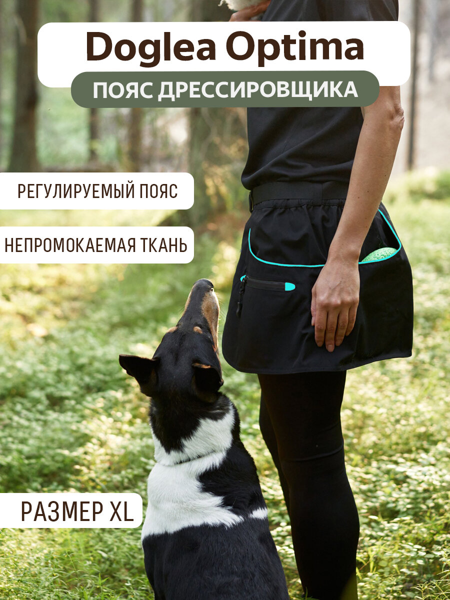 Юбка дрессировщика DOGLEA Optima Color, бирюзовая, размер XL