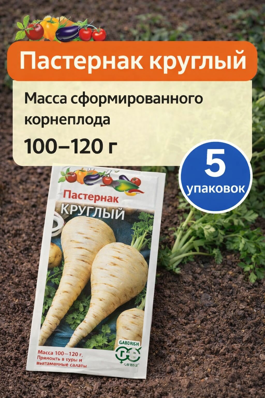 Пастернак Круглый семена, 5 пачек, ранний