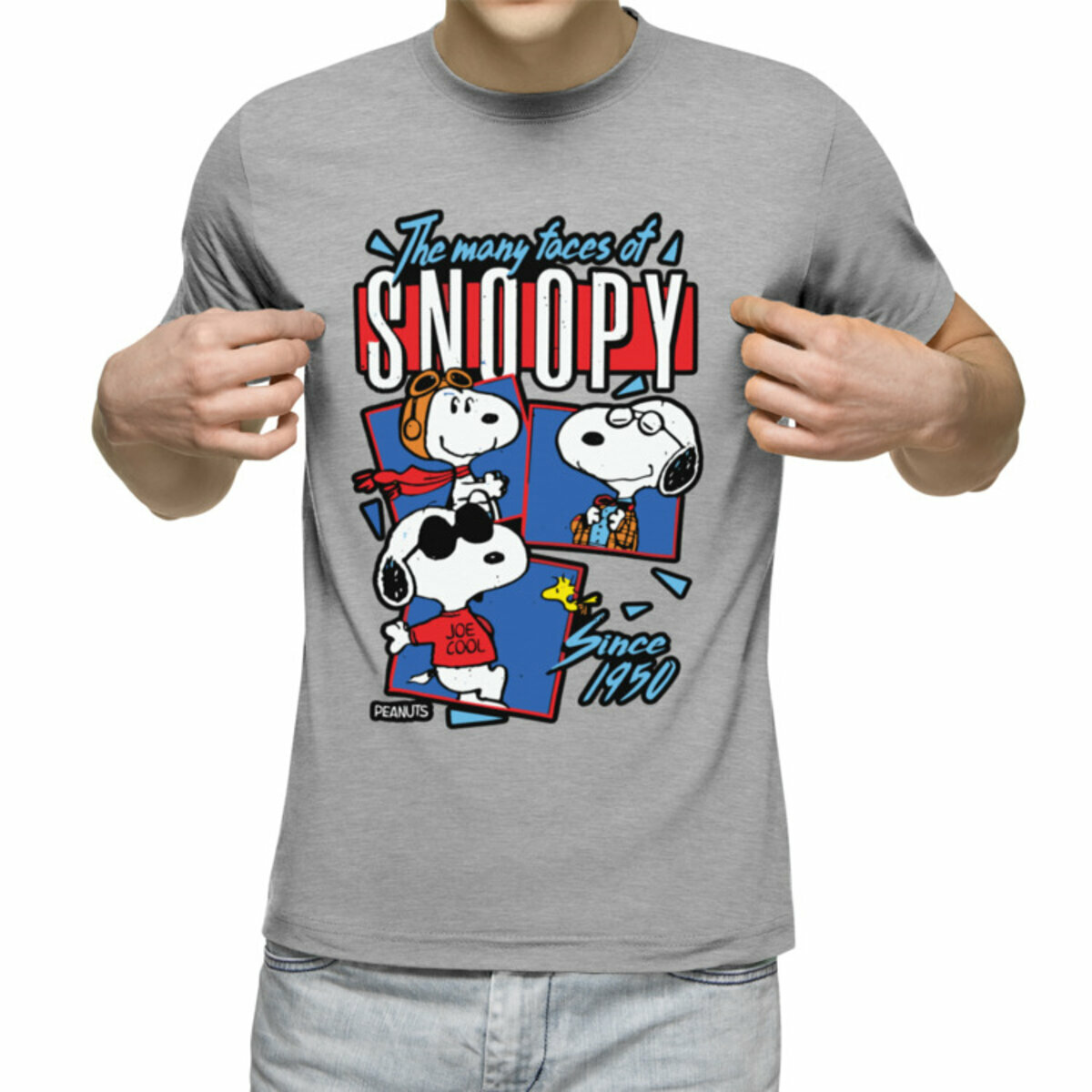 Мужская футболка «Снупи-Snoopy» (серый меланж, XL)