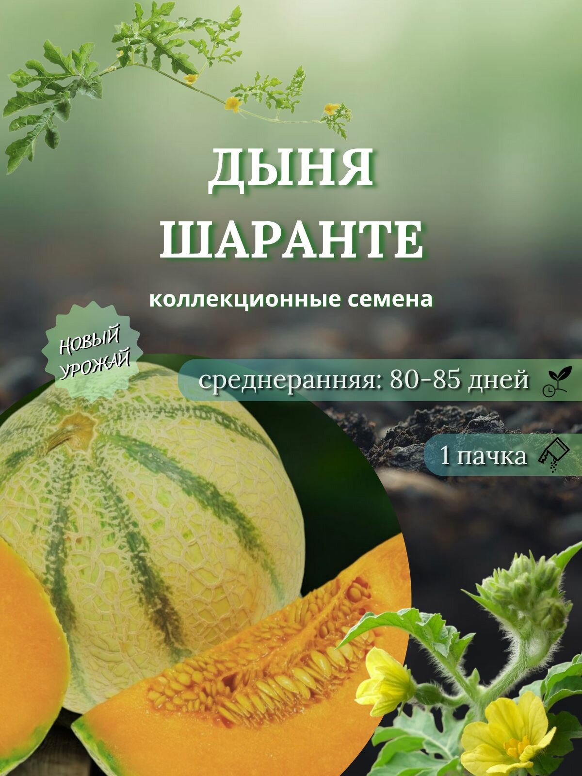 Дыня Шаранте, 10 семян в 1 пачке