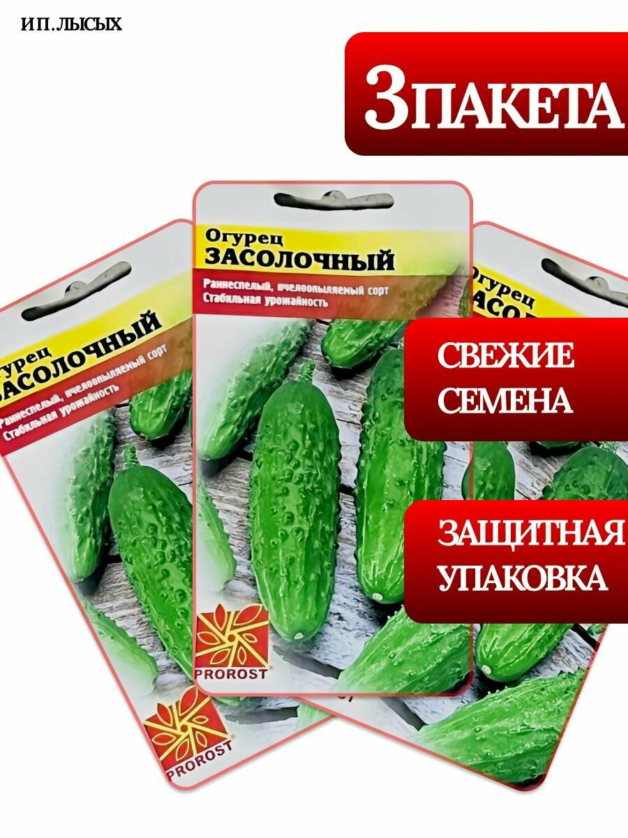 Семена Огурец "Засолочный"