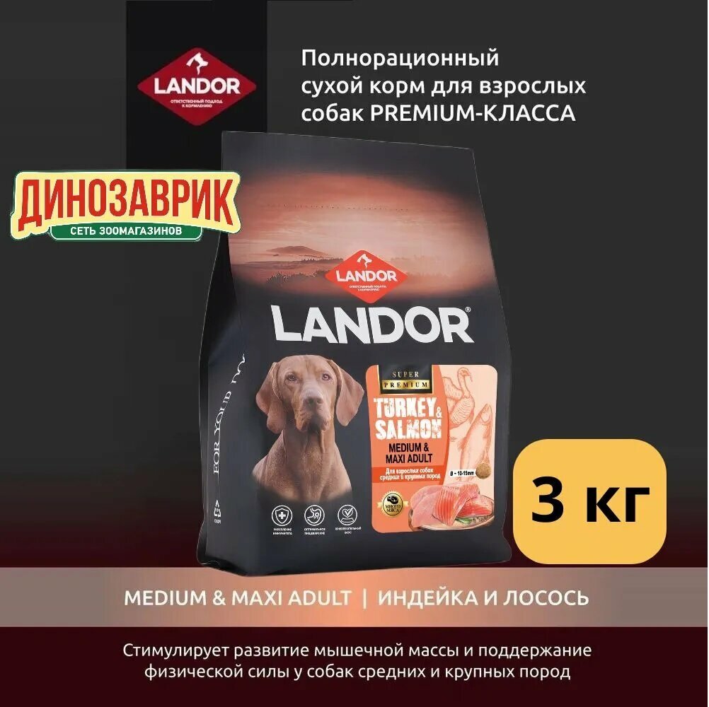 Сухой корм Landor для взрослых собак cредних и крупных пород c индейкой и лососем 3 кг