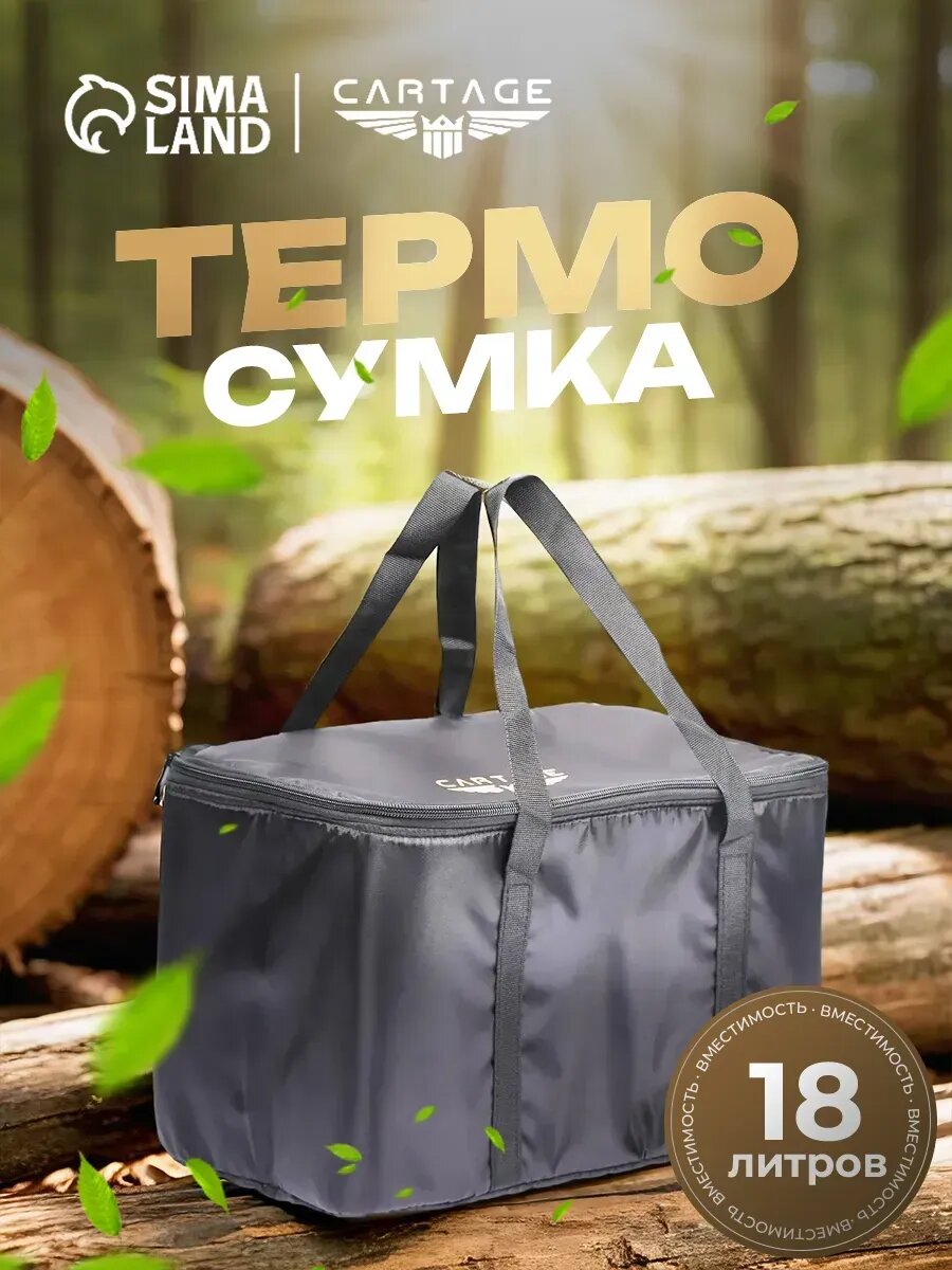 Термосумка для еды большая, сумка для пикника в машину