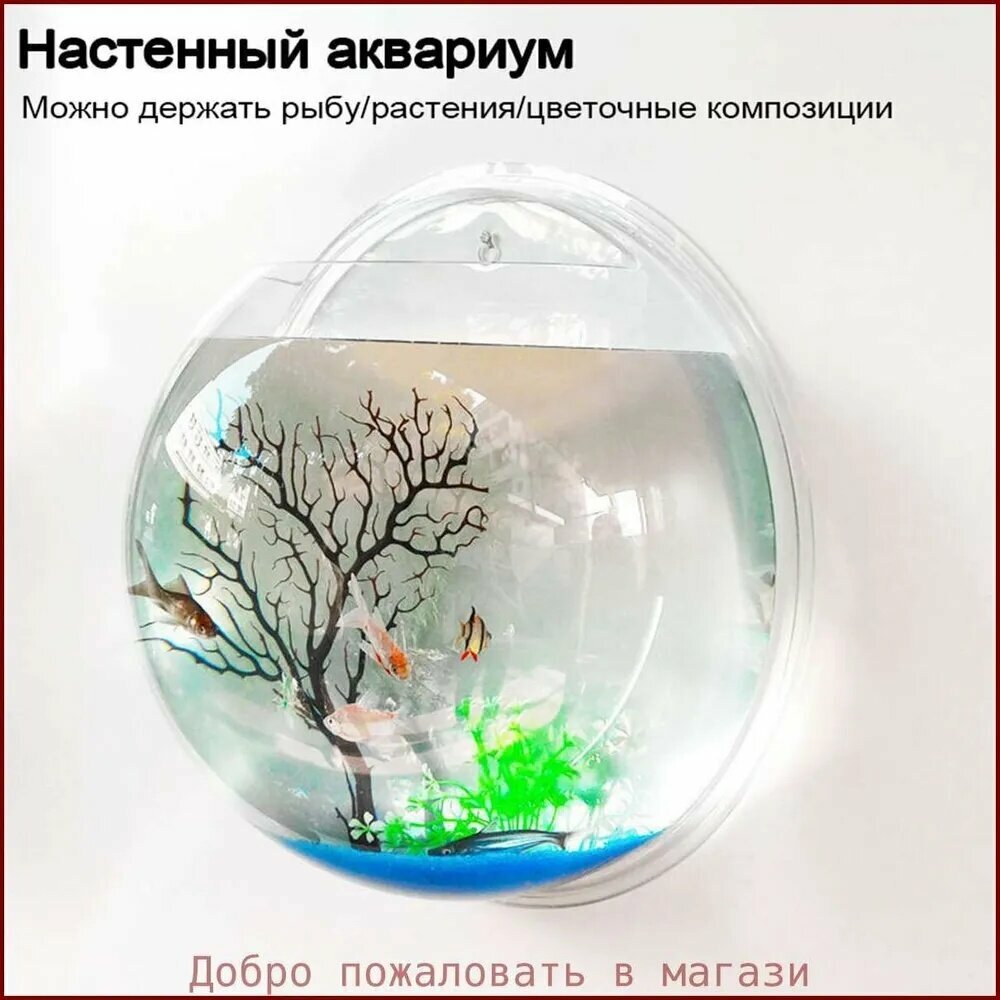 Украшение для стен настенный экологический декоративный аквариум рыб (15*15 см) -прозрачный