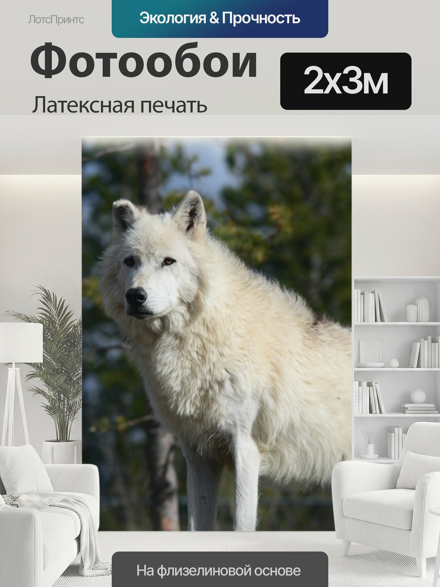 Фотообои моющиеся ударопрочные "Волк, canis волчанка, йеллоустонский национальный парк" 200x300 см. латексная печать