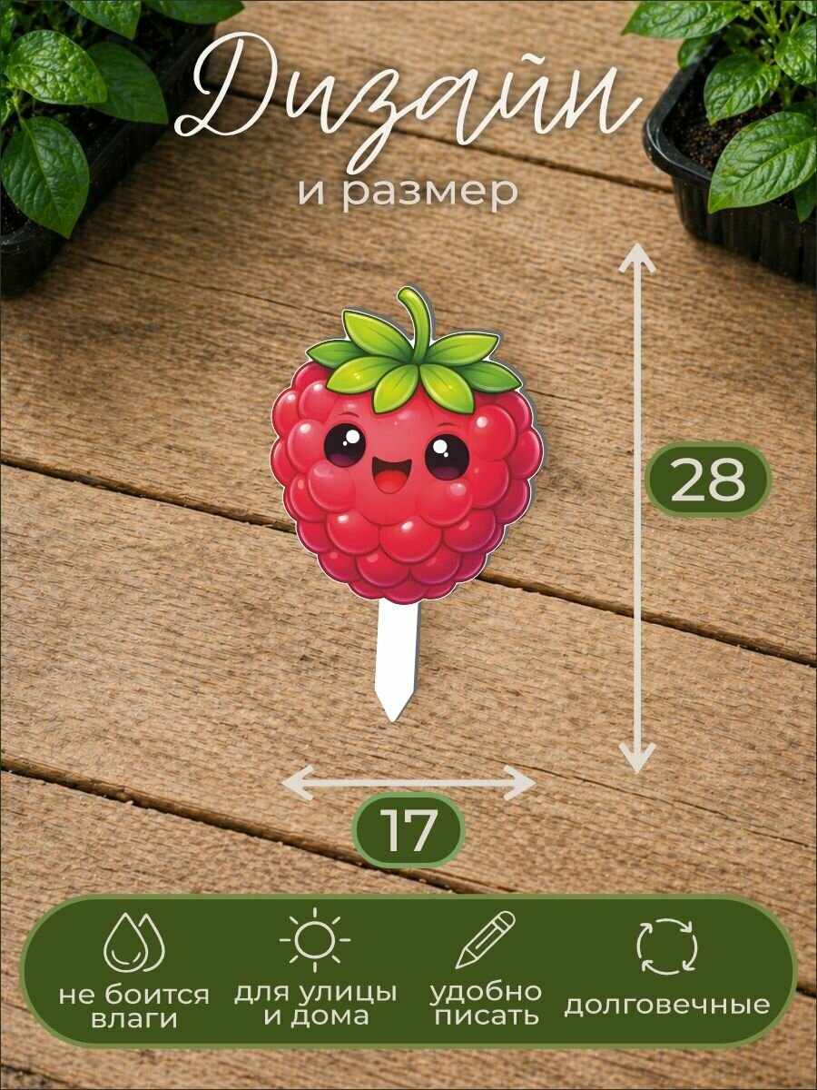 Фигурки для сада Малина - Fruits — фото 1