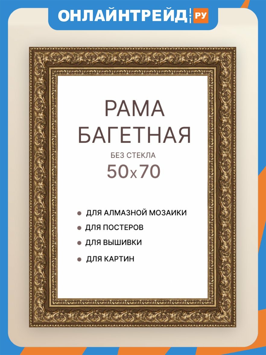 Багетная рама Декарт 50/70 8Л3603