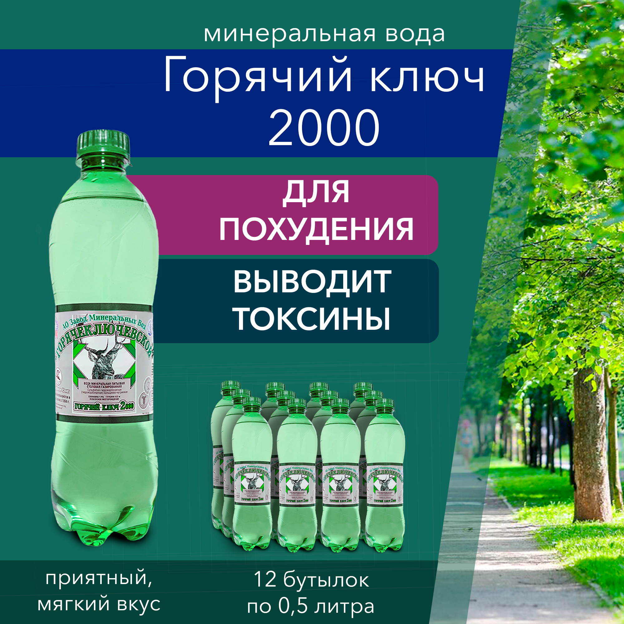 Вода Горячий Ключ 2000. Объем 0,5л*12. Вода минеральная питьевая газированная природная лечебная, выводит токсины,