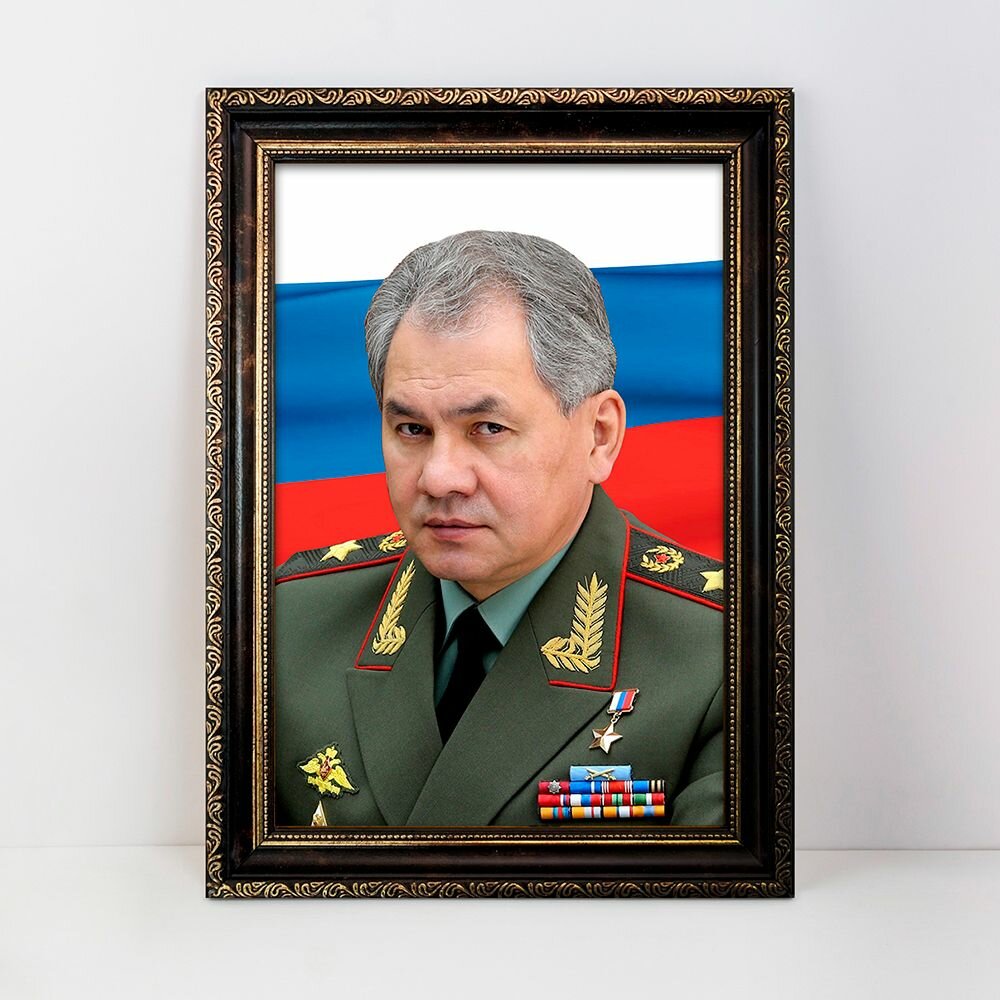 Портрет Шойгу С. К. на холсте в багетной темно-коричневой рамке / А-3 (30x40 см.)