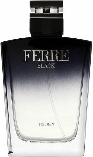 Gianfranco ferre ferre black 100 ml туалетная вода мужская