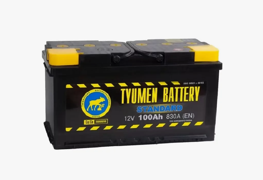 Аккумулятор tyumen battery standard 100 а/ч обратная r+ 353x175x190 en790 а 4607018242260