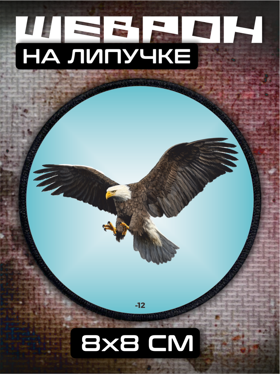 Шеврон на липучке Орёл сокол