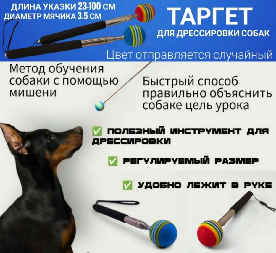 Таргет - указка для дрессировки собак с мячиком