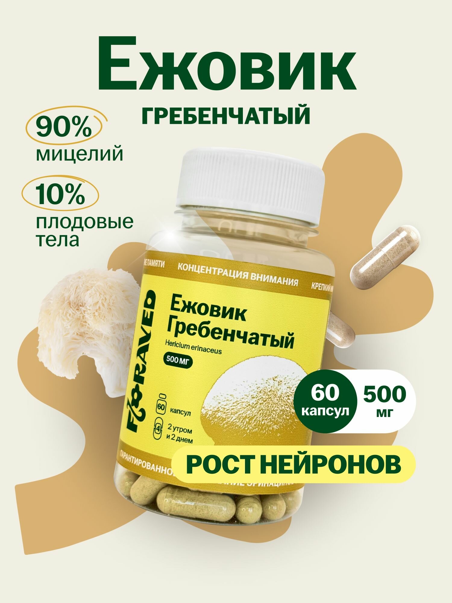 Ежовик гребенчатый; экстракт для мозга, памяти и нервной системы; 500 мг, 60 капсул
