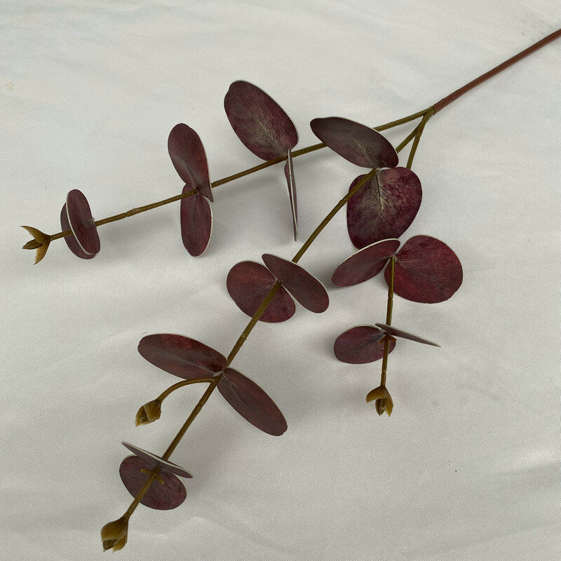 3d печатанный эвкалиптовый лист с деньгами для декора дома фотосъемка стайлИ