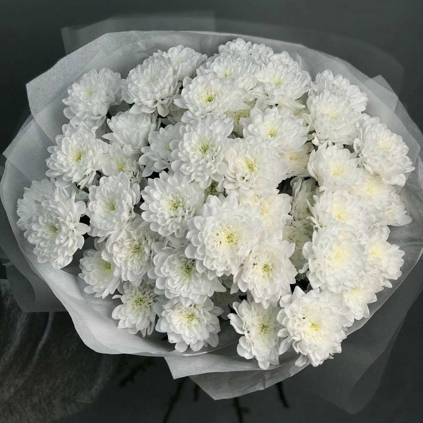 Букет из белых хризантем 31 шт, красивый букет цветов, шикарный, премиум цветы, премиум букет