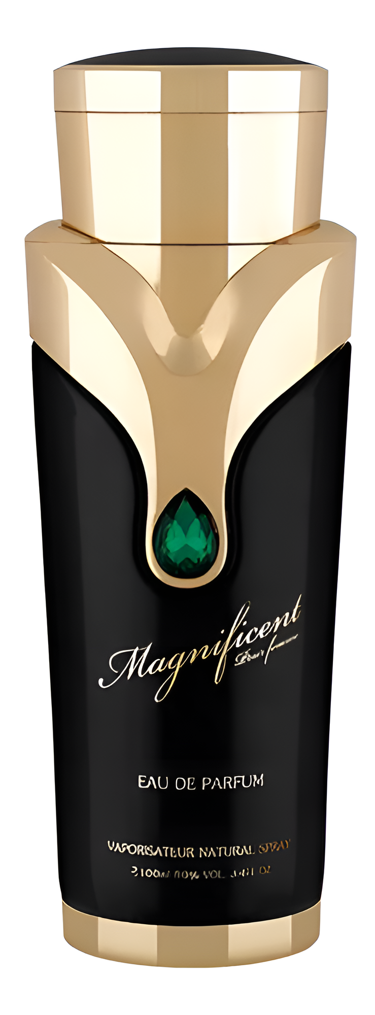 Мужская парфюмерная вода Armaf "Magnificent Pour Femme ", 100 мл