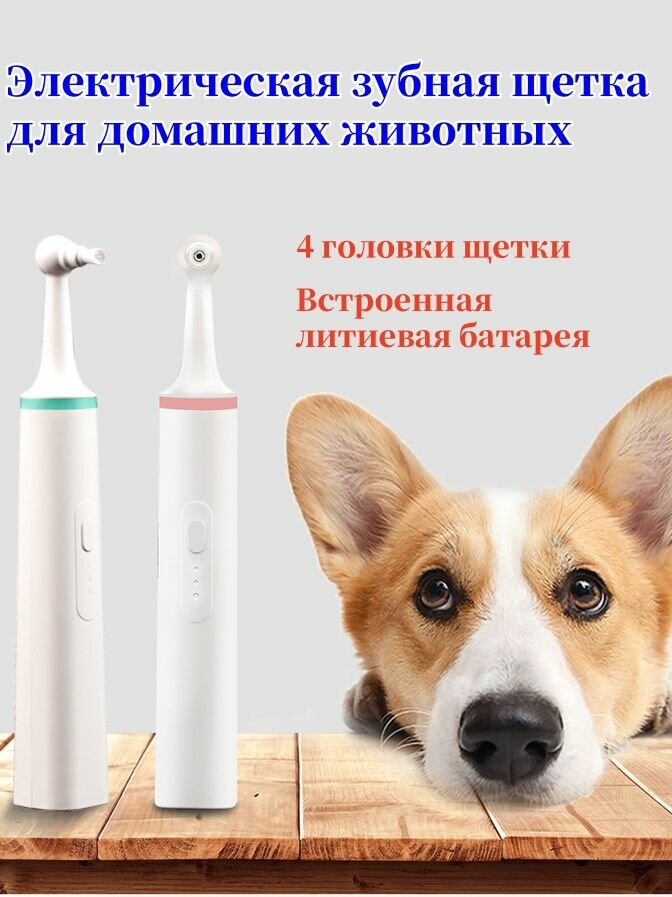 Электрическая зубная щетка для домашних животных, зубной скалер, полировщик зубов, средство чистки полости рта плюшевых собак, кошек и собачек