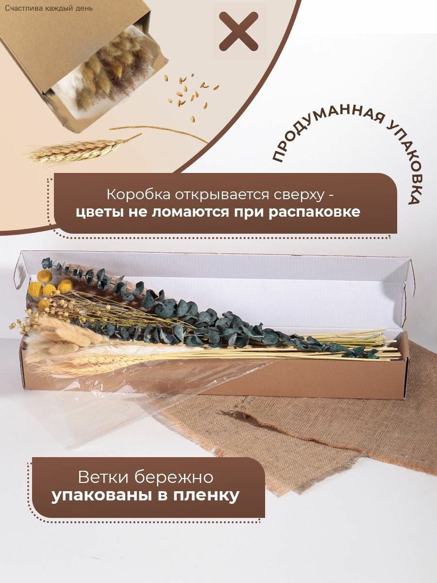 Сухоцветы — фото 1