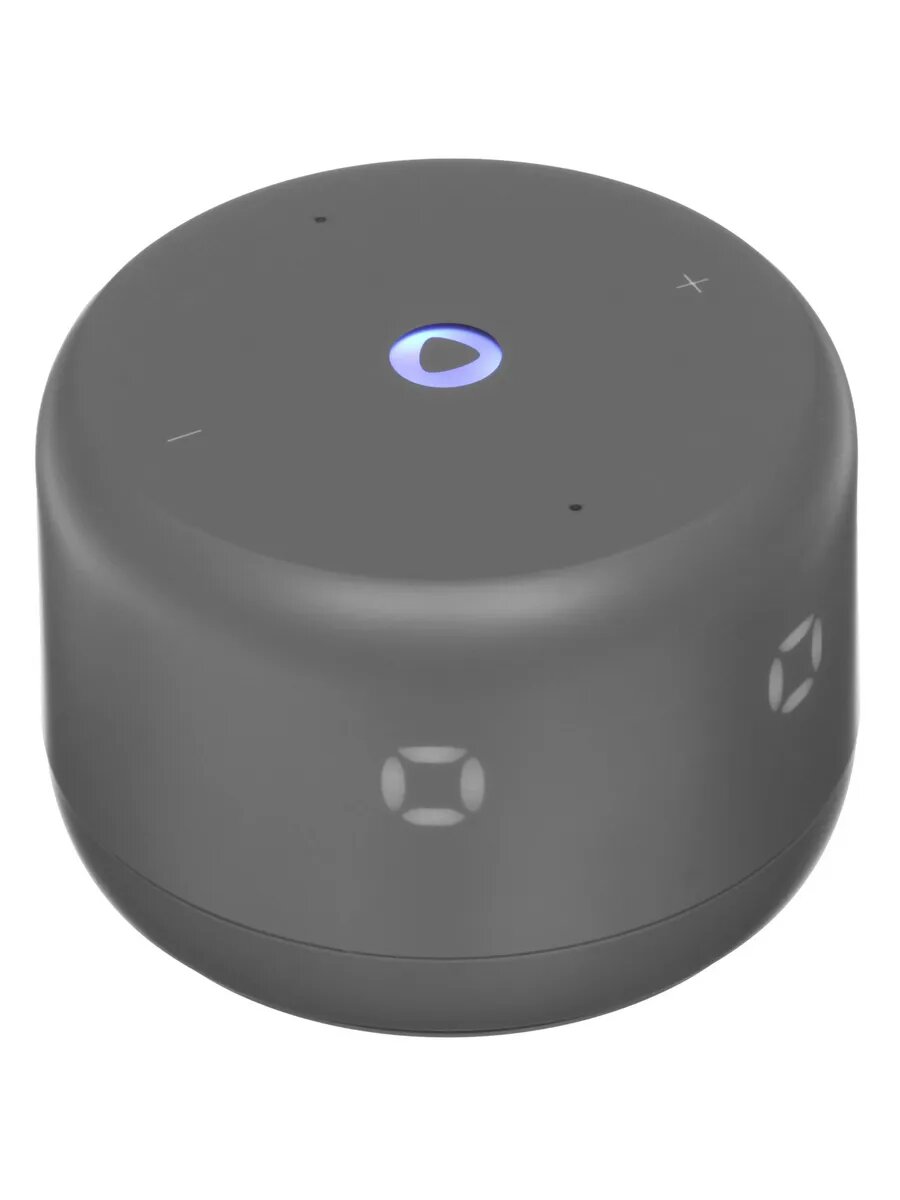 Умная колонка Станция Лайт 2 на YaGPT YNDX-00026