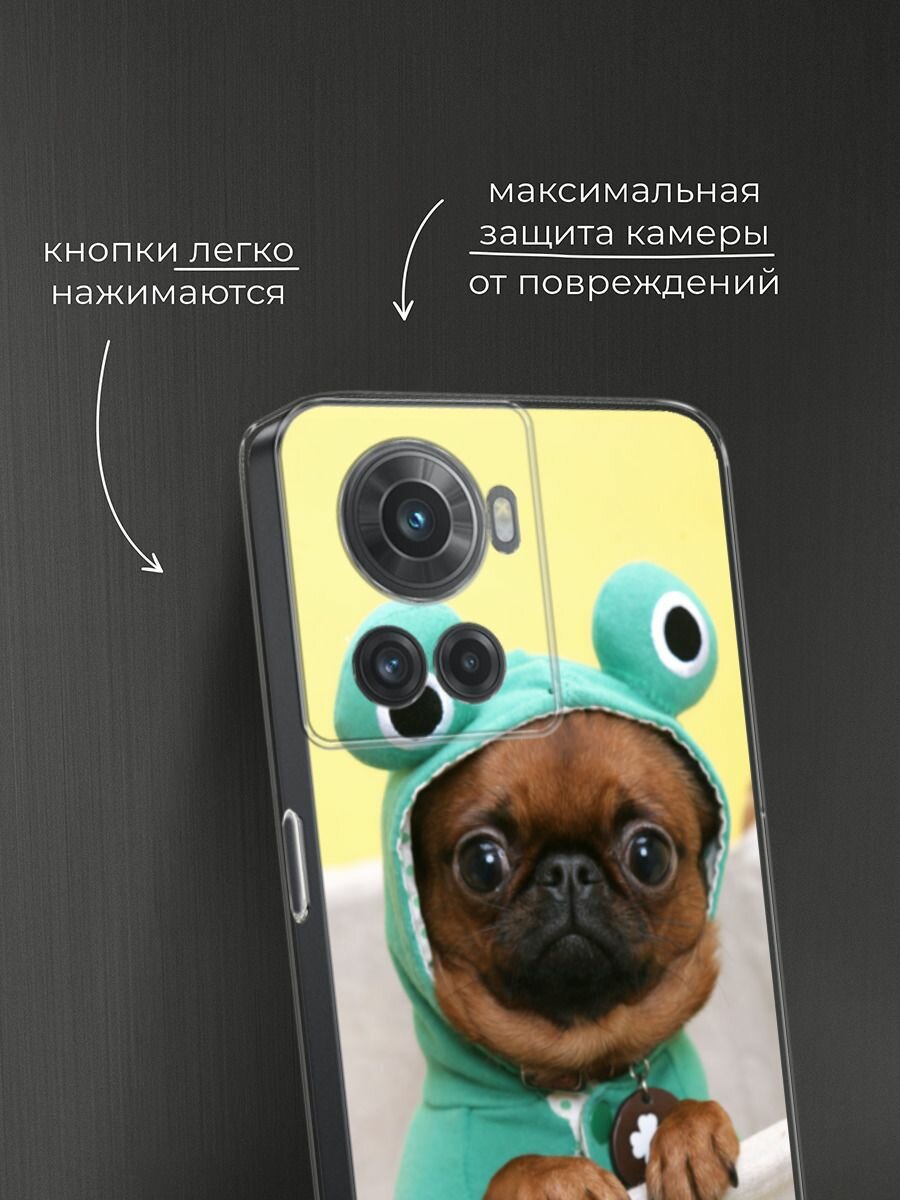 Чехол на OnePlus 10R/Ace / Ван Плас 10R/Ace с принтом "Собачка в шапке лягушки" — фото 1