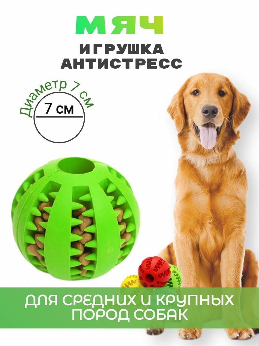 Мяч "Чистые клыки", для собак, жевательный, для зубов и десен, термопластичная резина, 7см