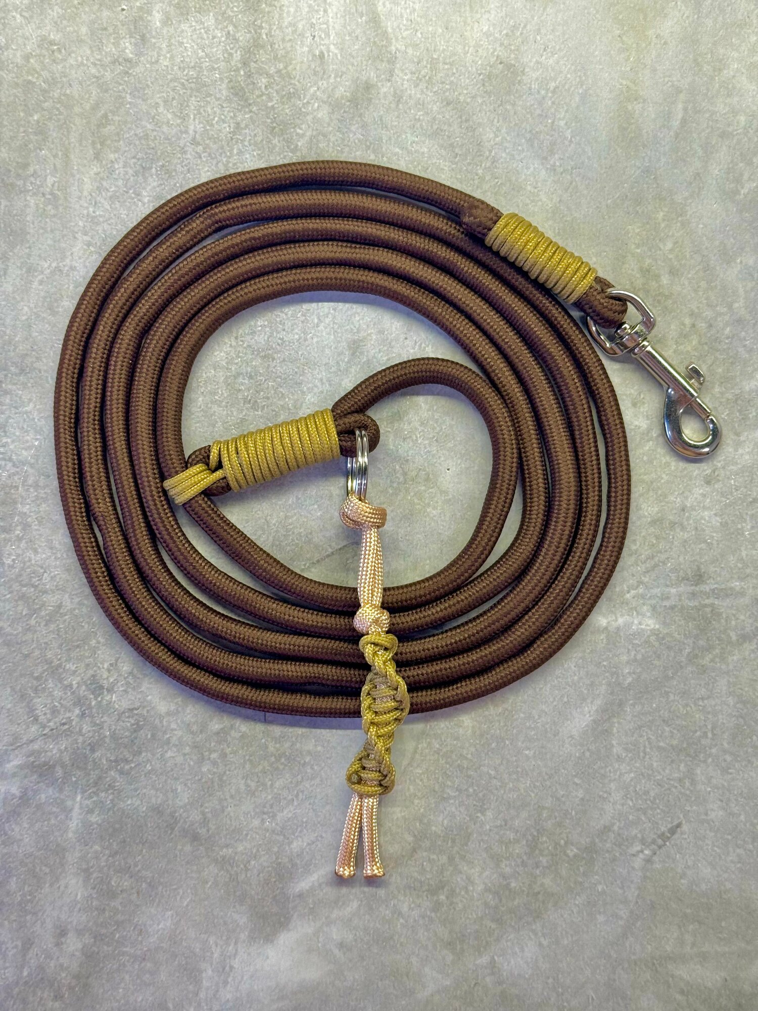 Стильный поводок для питомца из паракорда