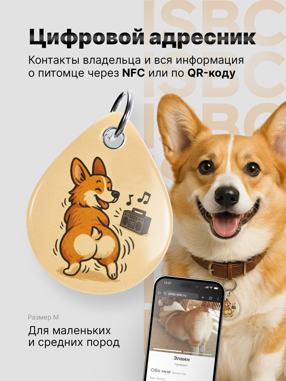 Цифровой Адресник для собак от ISBC с NFC и QR-кодом, Корги, арт. 006-62560