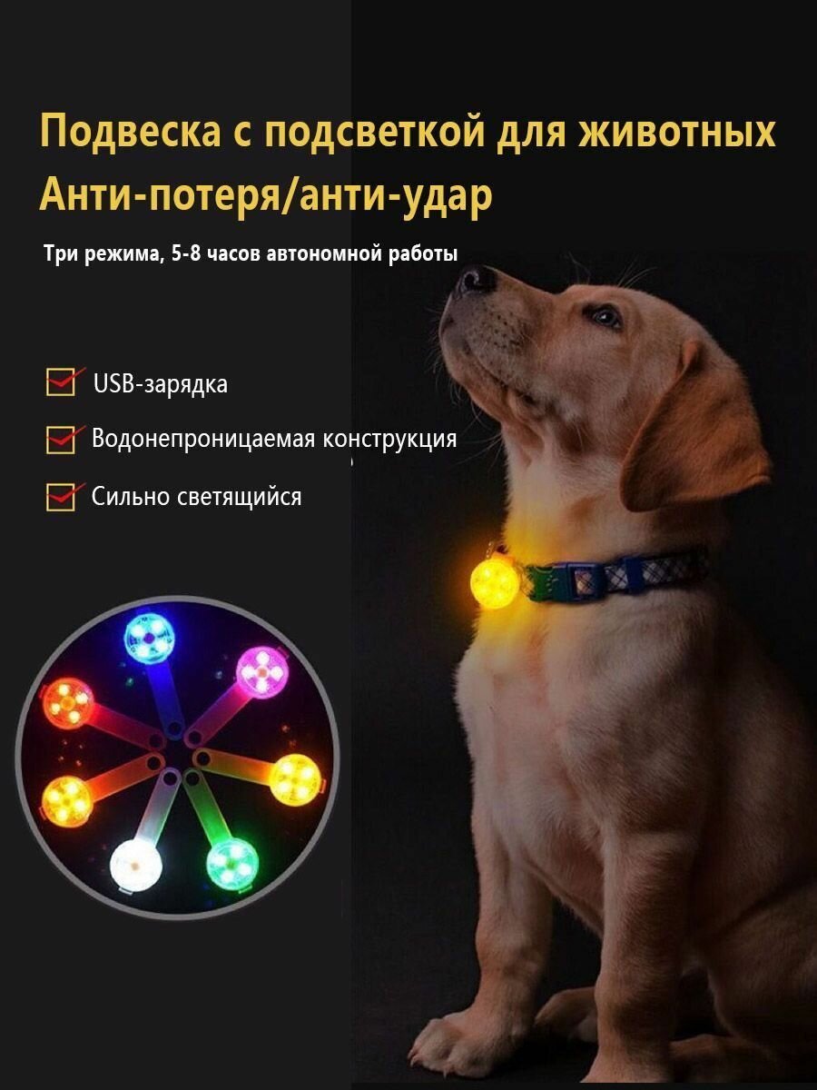 Светящийся брелок на ошейник для собак, светодиодный LED фонарик micro USB / Блинкер-DKD-CJ0831-a