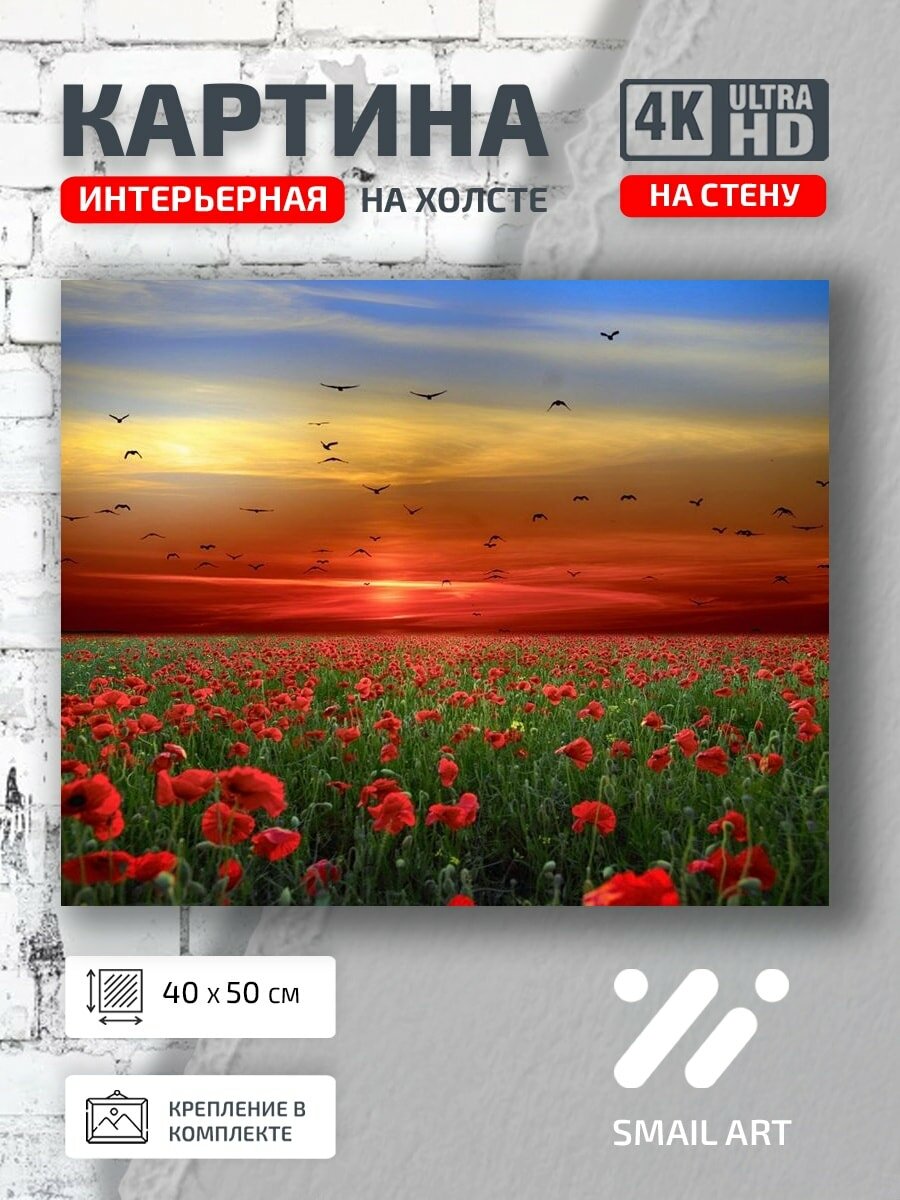Картина на холсте интерьерная 40 на 50 на стену Маковое поле для кафе пейзаж