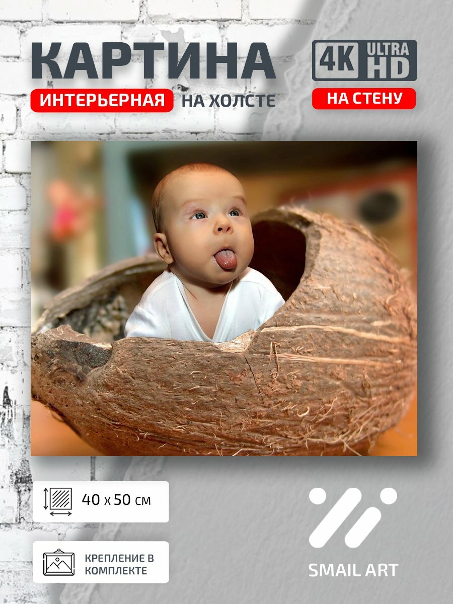 Картина на холсте интерьерная 40 на 50 на стену Кокосе Mood для студии атмосфера интерьер