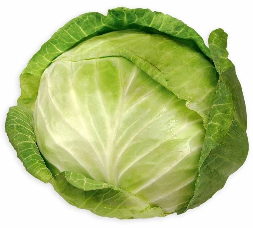 Коллекционные семена капусты б/к F1 Квашня