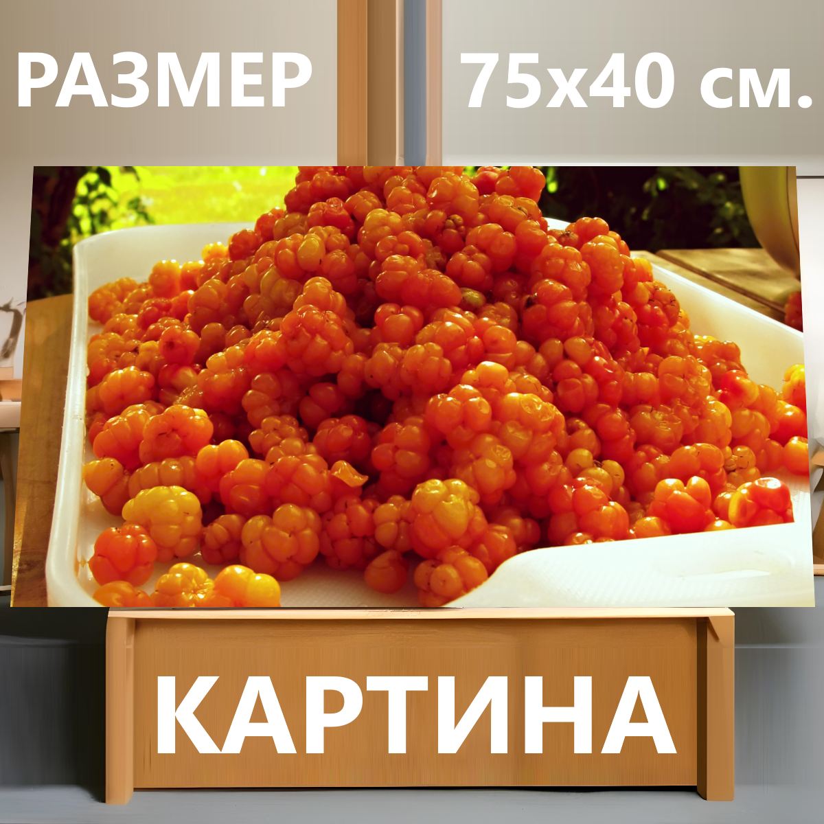 Картина на холсте "Морошка Куча морошки морошка ягода ягоды северный Швеция Sverige оранжевый" на подрамнике 75х40 см. для интерьера