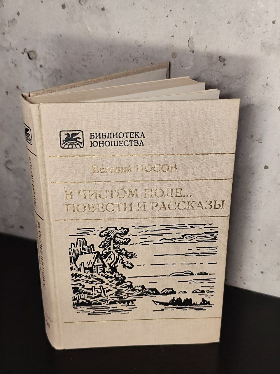 В чистом поле. Повести и рассказы